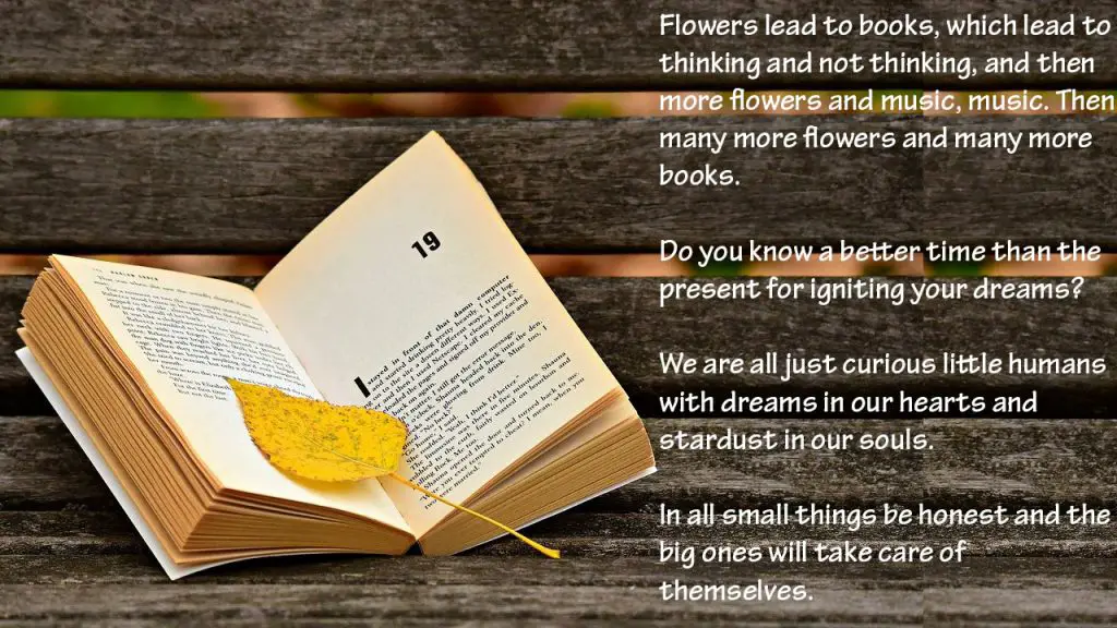 100+ Best and Funny Literary Quotes