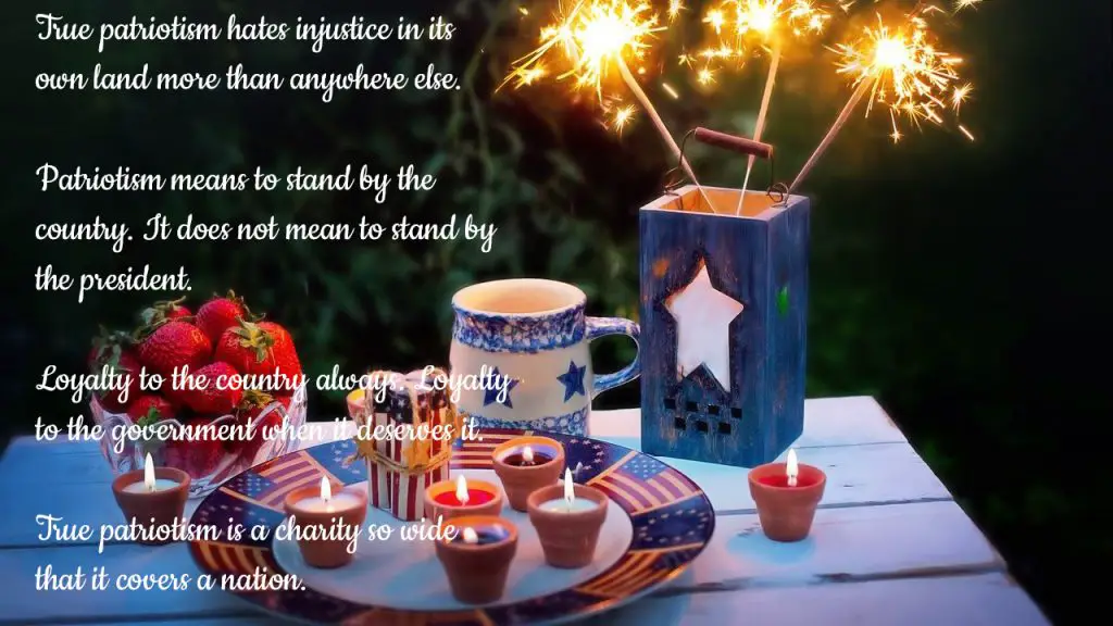 60+ Funny Patriotic Quotes That Will Get You Too Much Excited