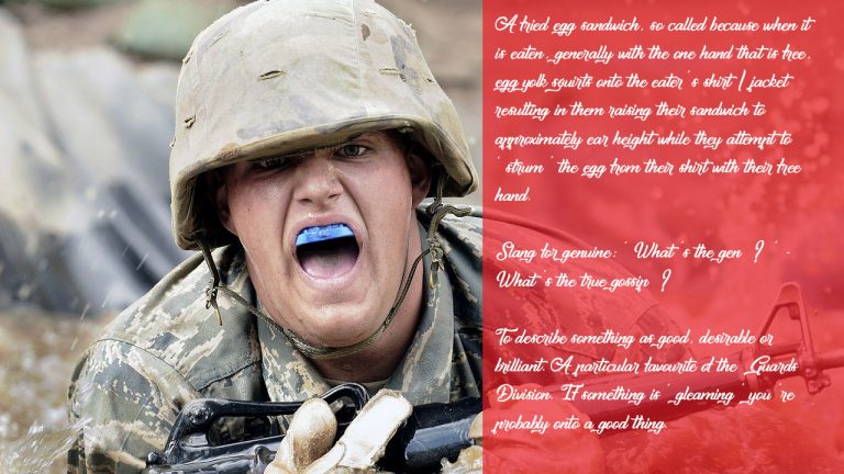 50+ Funny Military Quotes To Appreciate Them