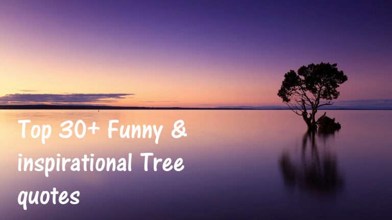 60+Funny Hell Quotes