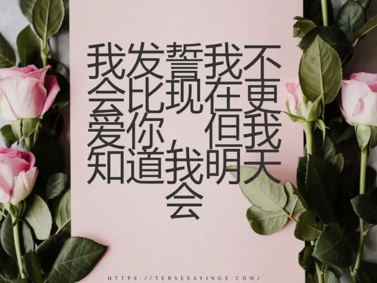 40+ Best Chinese love quotes