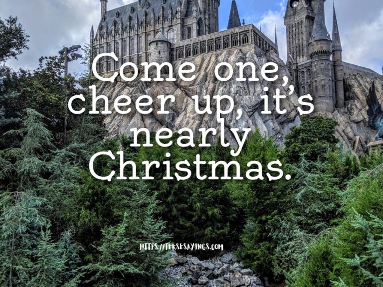 Christmas Quotes Harry Potter
