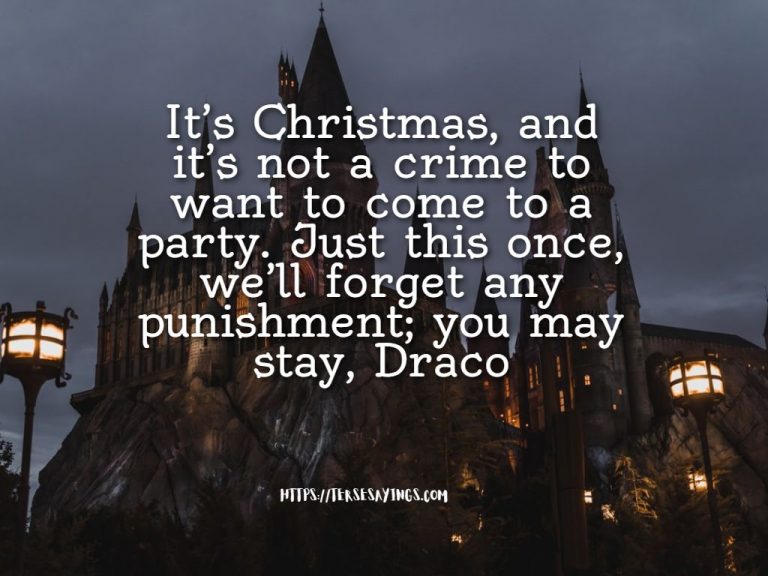 Christmas Quotes Harry Potter