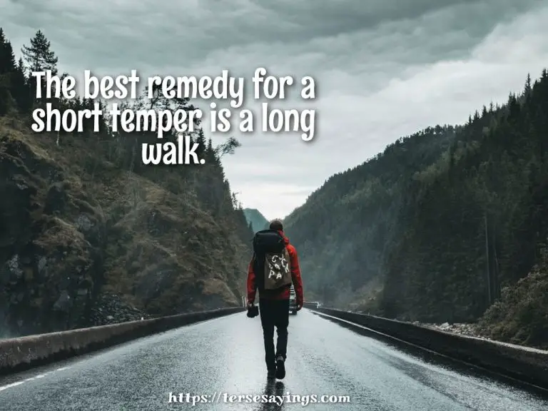 funny walking quotes