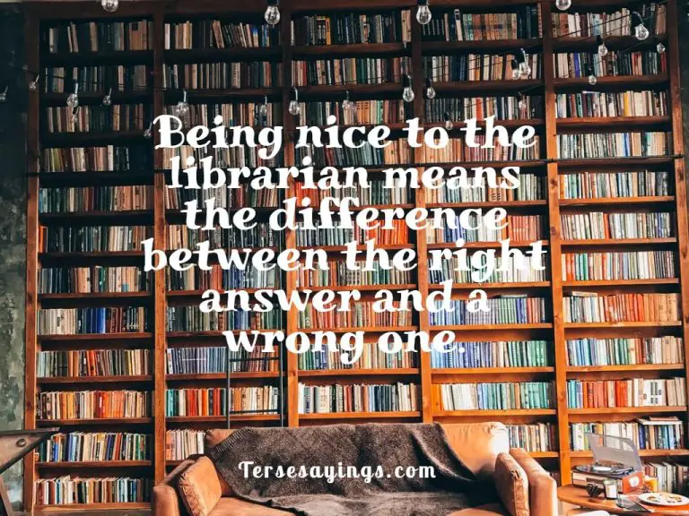 Best 70+ Funny library quotes