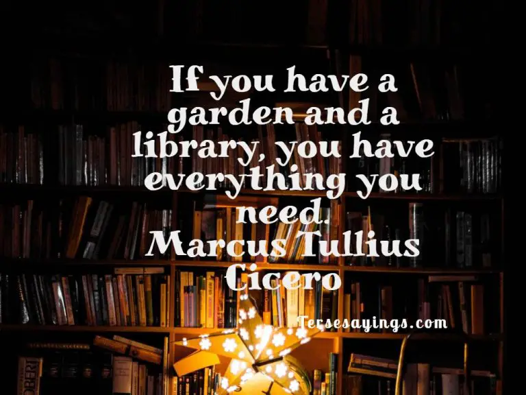 Best 70+ Funny library quotes