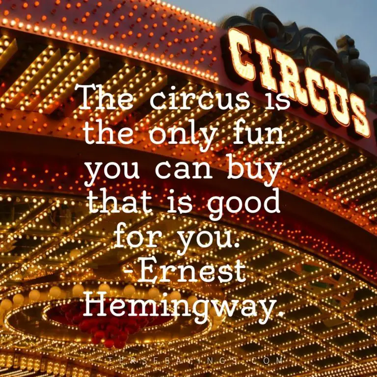 70+ Funny Clown quotes