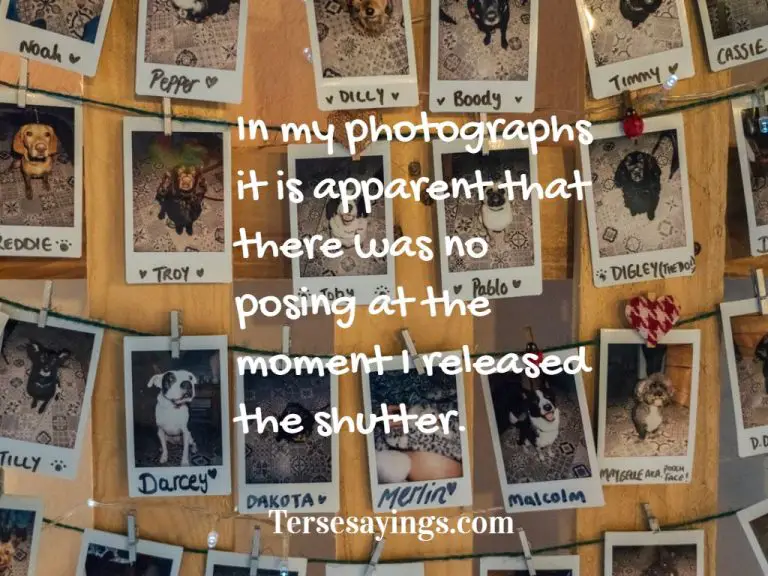 60+ Funny Photography quotes