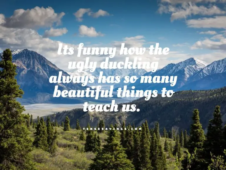 60+ Funny Paradox Quotes