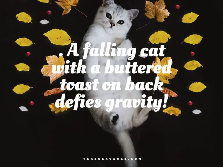 60+ Funny Paradox Quotes