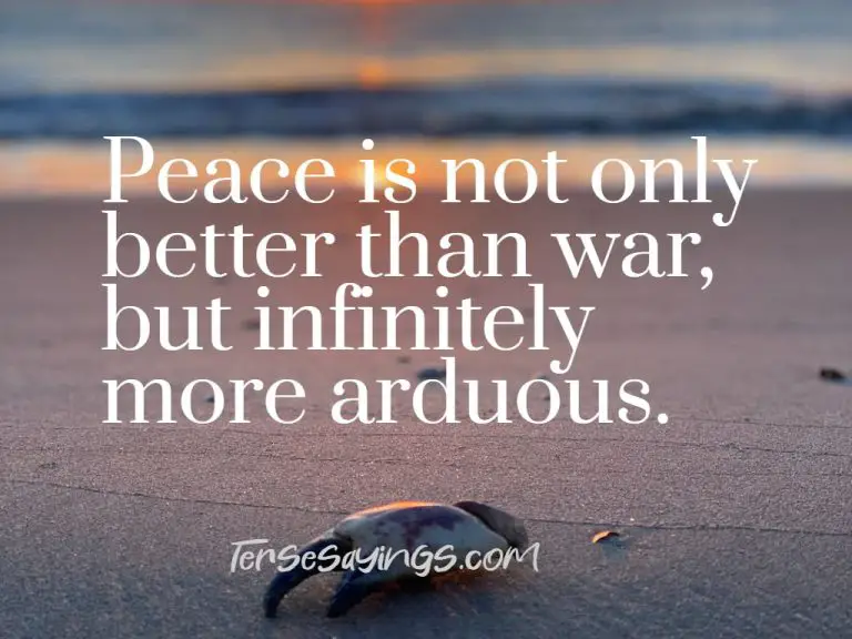 70+ Funny Peace Quotes