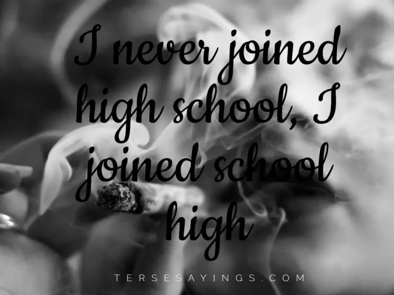 90+ Best Funny Stoner Quotes