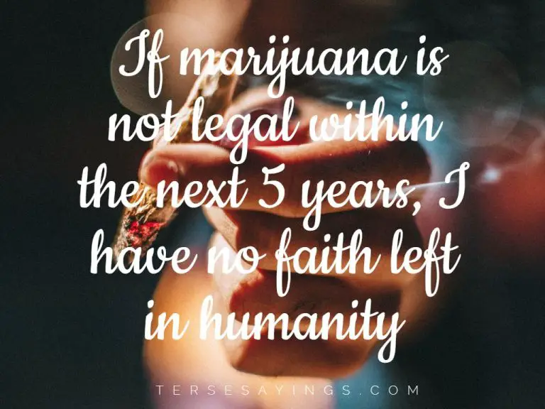 90+ Best Funny Stoner Quotes