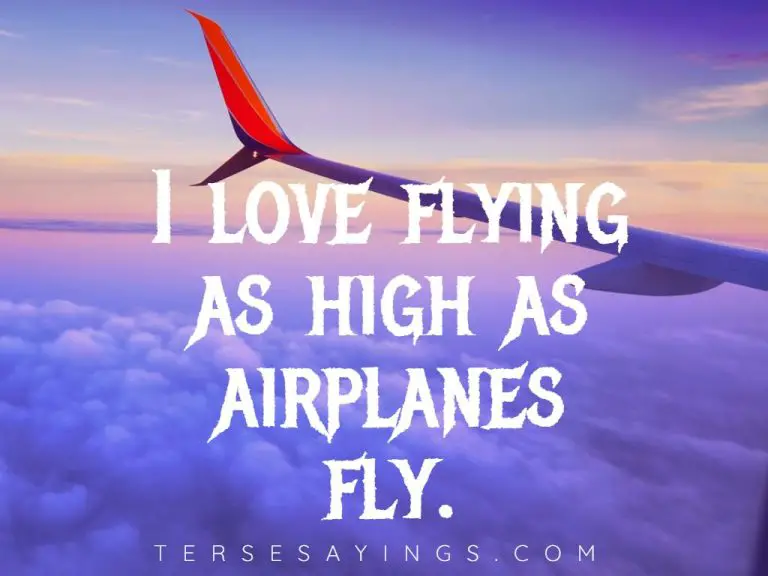 80+ Best Funny flying quotes