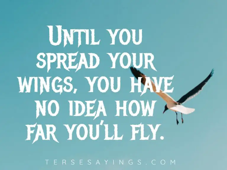 80+ Best Funny flying quotes