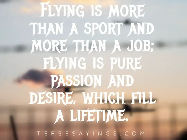 80+ Best Funny flying quotes