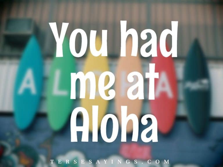 Amazing Funny Hawaiian quotes