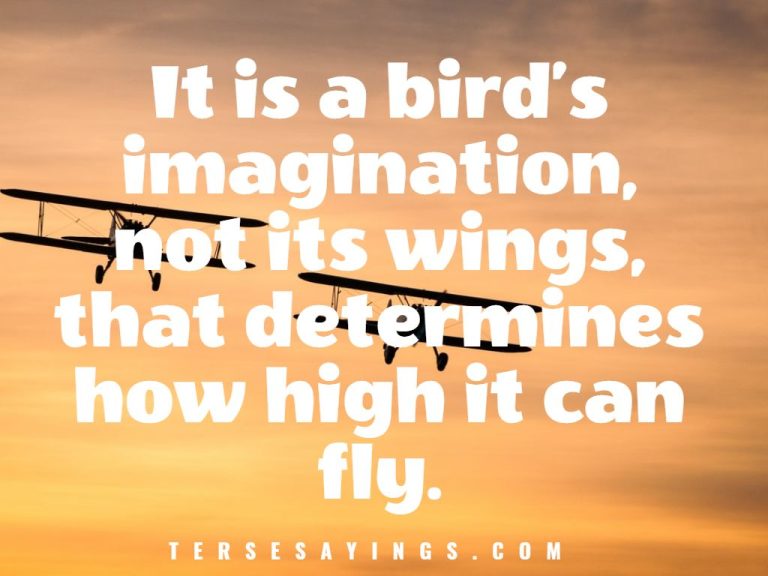 90+ Best Inspirational aviation quotes