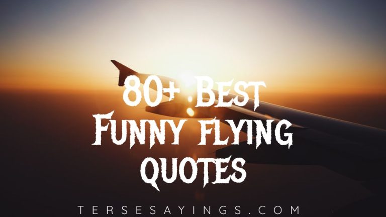 80+ Best Funny flying quotes