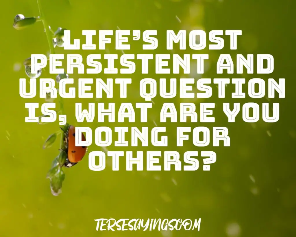 90+ Best Inspirational quotes for homeless families