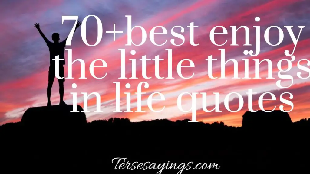 70+ Best enjoy the little things in life quotes