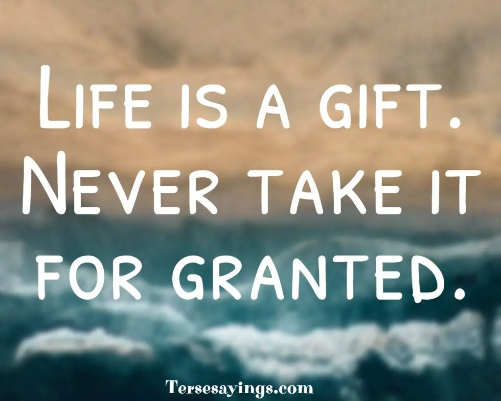 60 Best life is beautiful quotes