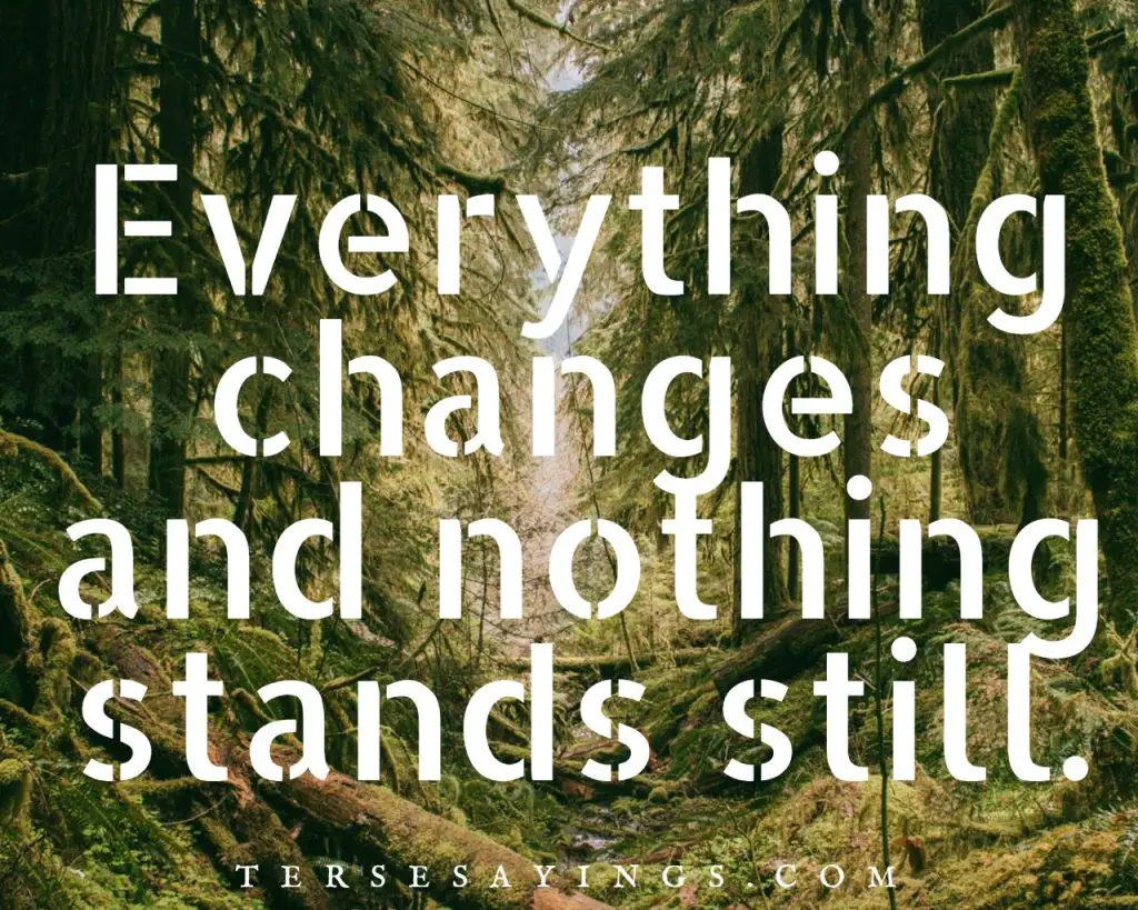 60 Best life transition quotes