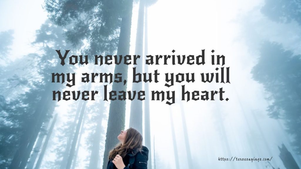 150+ Miscarriage Quotes Bring You Comfort After loss