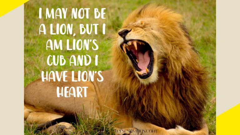 Top best 90+ famous lion quotes that motivate our life