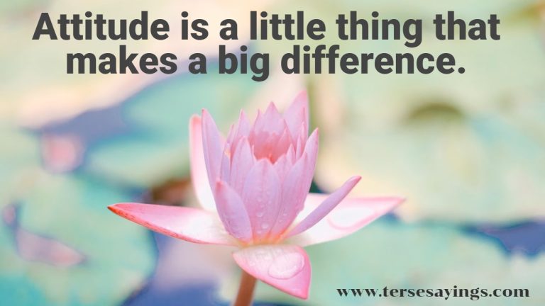 100 + Inspiring LDS Quotes LDS Quotes, Best LDS Quotes,