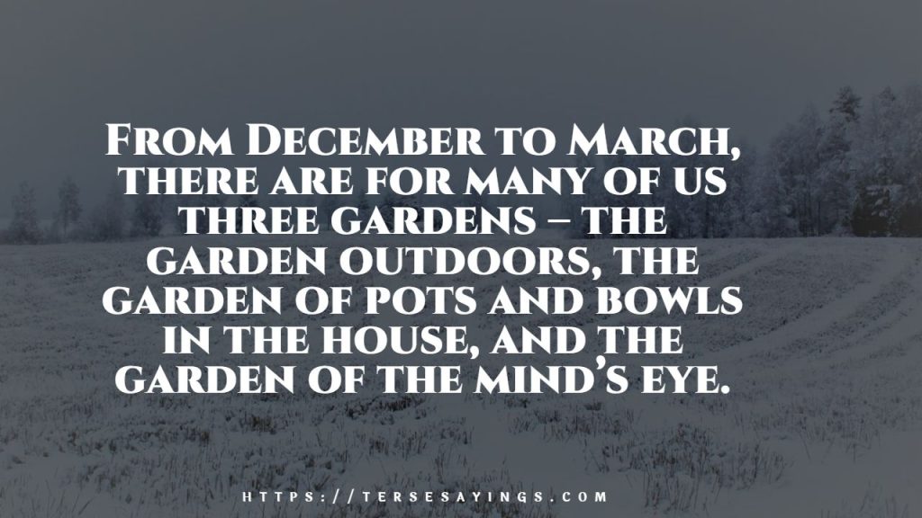 100 + Famous February quotes about the best month february