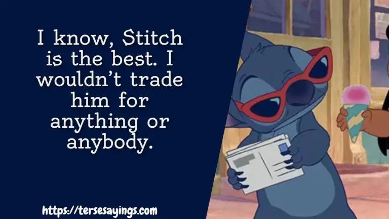 Best 65 + Stitch Quotes About Family and Love