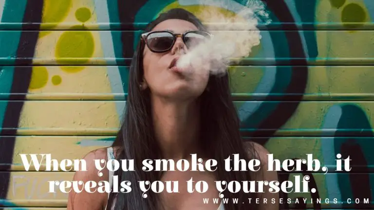 100 + Funny and Interesting Weed Quotes