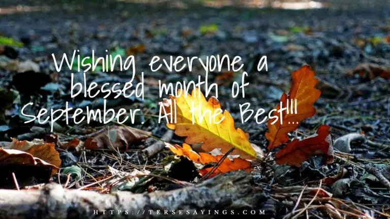 Best 75 + September Quotes TO WelCome the Autumn Season