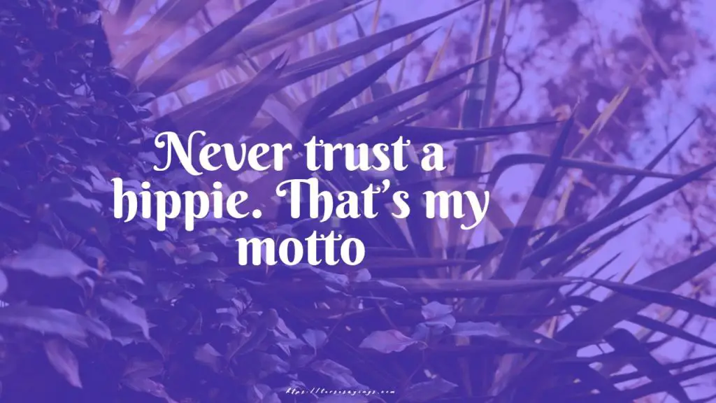 Best 90 + Hippie Quotes That Tell About Freedom