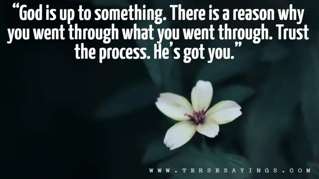 Top 50+ Trust The Process Quotes To Help You Enjoy Life's Journey Trust ...