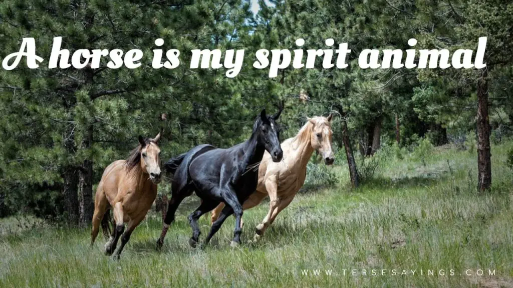100 + Attractive Horse Quotes to Encourage You to Take a Ride