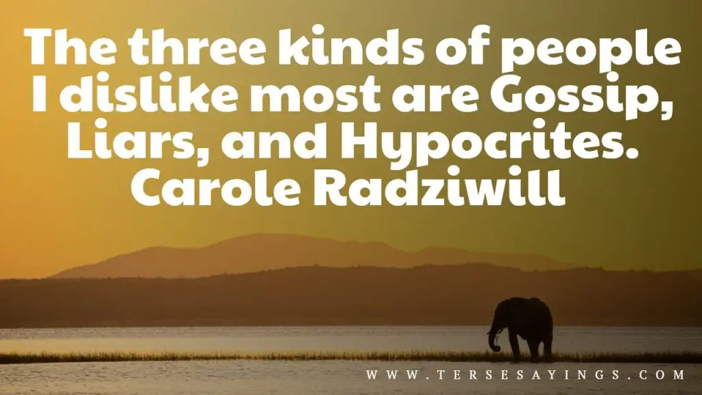 100 + Famous Funny, Hate, and Dangerous Liar Quotes Liar Quotes