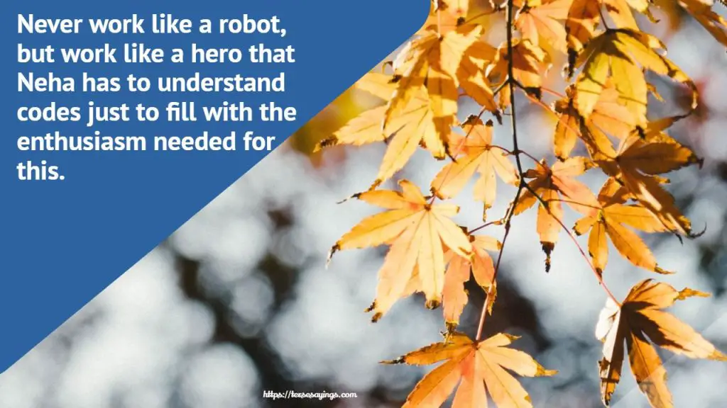 Best 100+ November Quotes That Will Touch Your Thankful Emotions