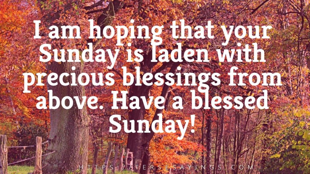 Best 70 + Sunday Blessings Quotes Make Your Day Beautiful