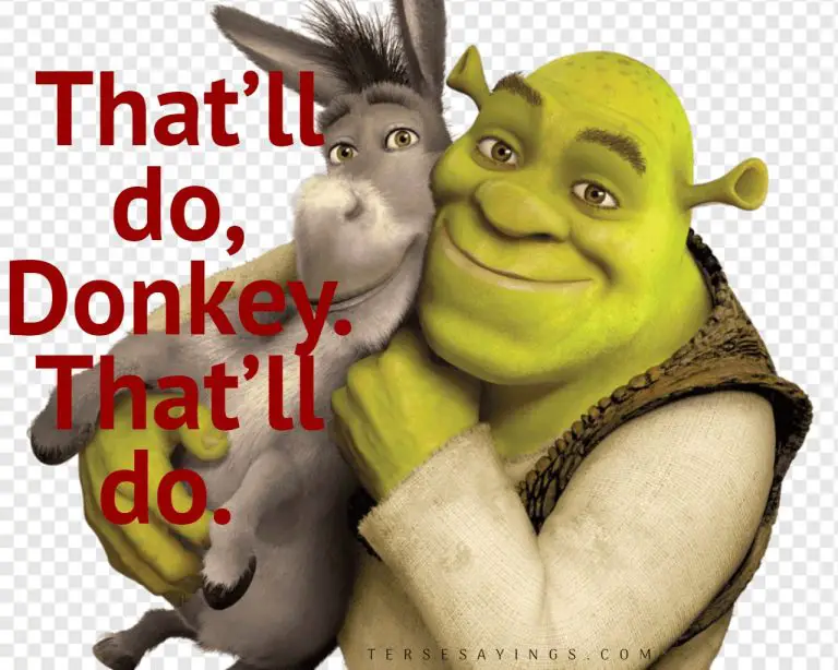 75+ Best Shrek Quotes