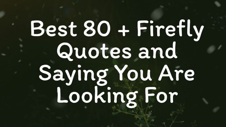 Best 80 + Firefly Quotes You Are Looking For