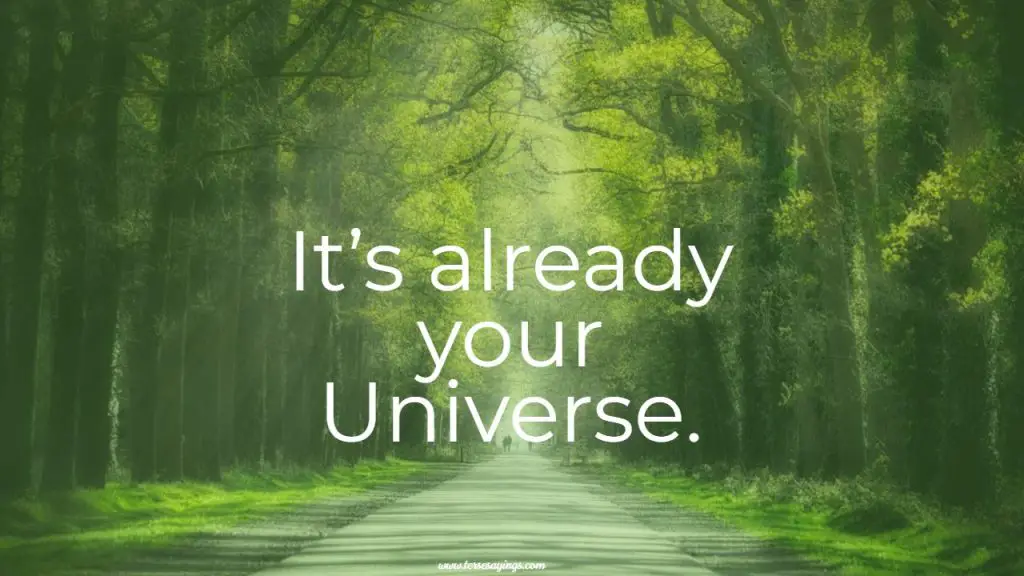 Top 80 + Manifesting Quotes To Help You Get the Life You Wish