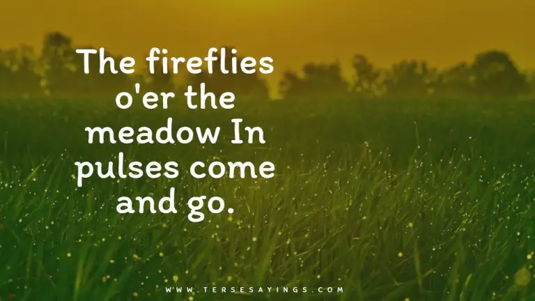 Best 80 + Firefly Quotes You Are Looking For