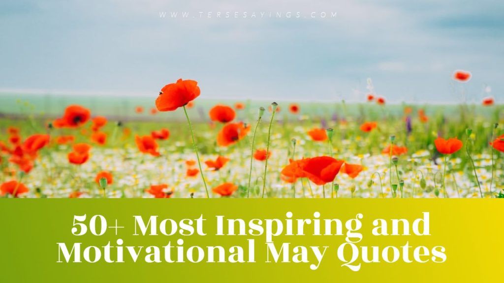 May Quotes