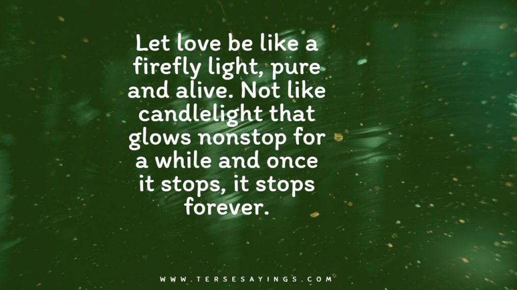 Best 80 + Firefly Quotes You Are Looking For