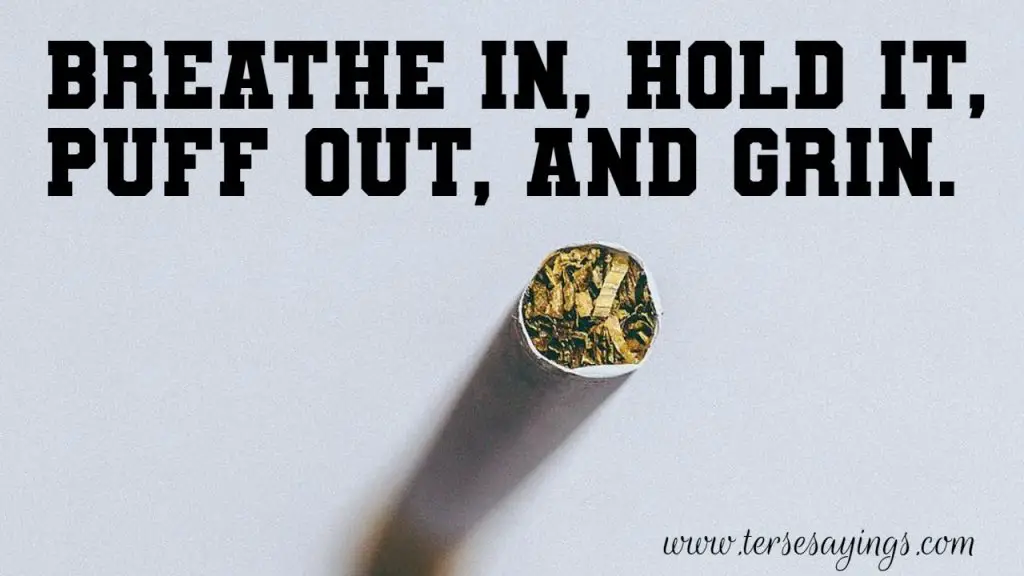 Famous 100+ Stoner Quotes and Sayings Stoner Quotes