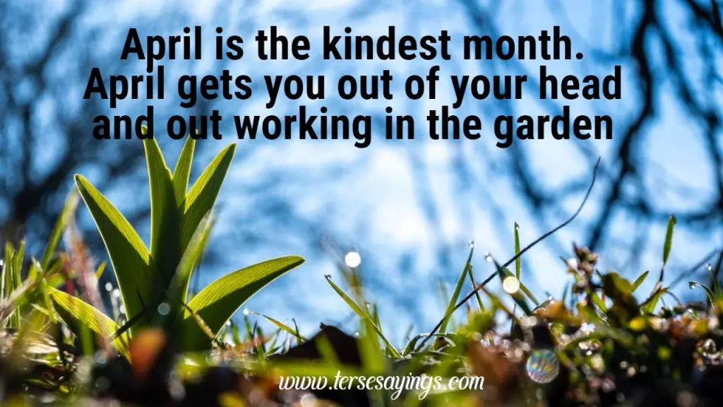 April Quotes