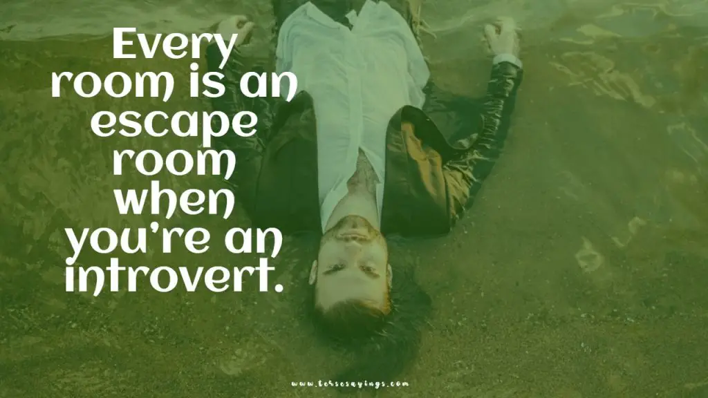 Best 90 + Introvert Quotes That Are Extremely effective