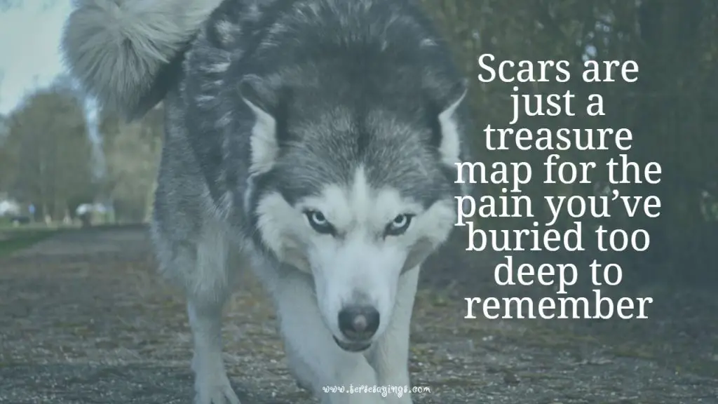 100 + Lone Wolf Quotes That Will Make You Motivate